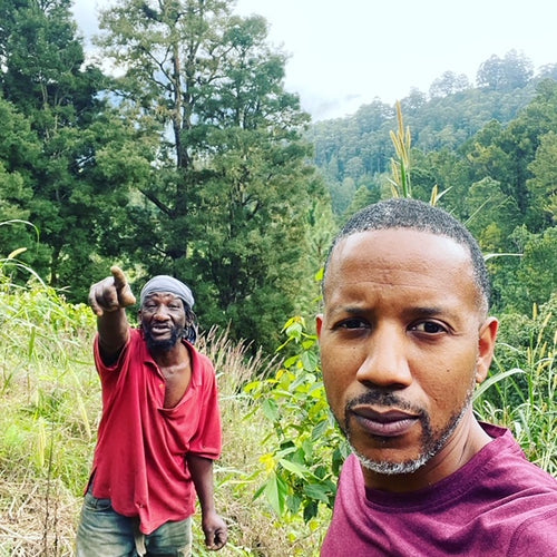 Royal Blue Mountain Coffee- Jamaica – Royal Blue Mountain Coffee Jamaica